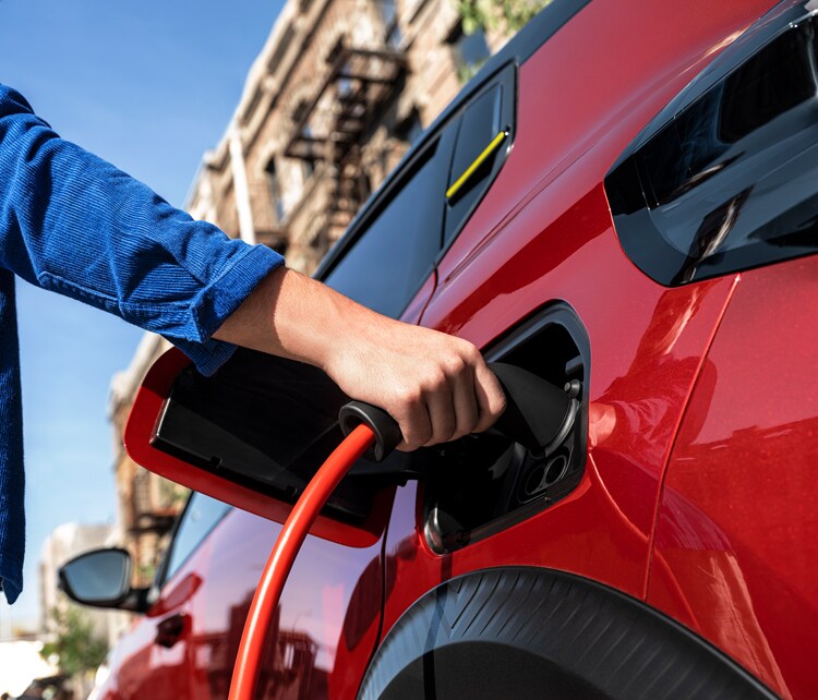 Nouveau ë-C3 Van | L’utilitaire électrique pour les professionnels ...